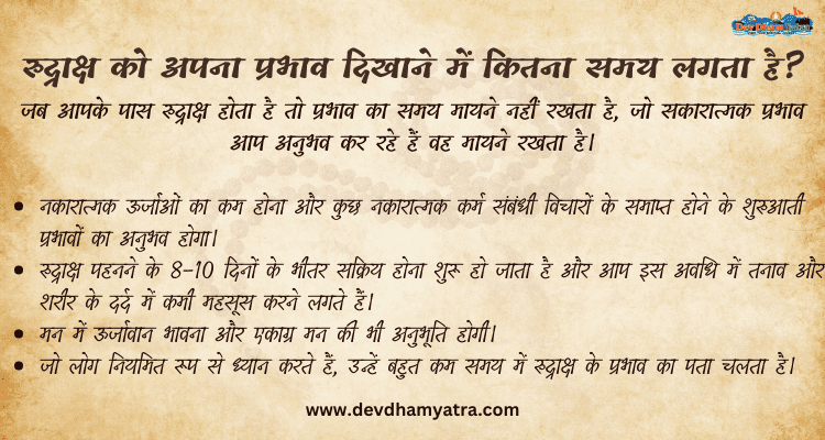 Rudraksha – Facts and Benefits – DevDham Yatra